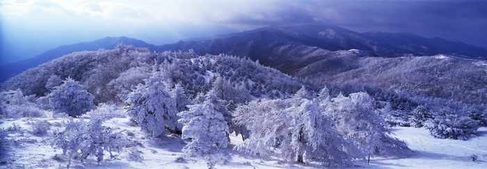 지리산, 치악산,소백산 겨울 눈꽃 세상