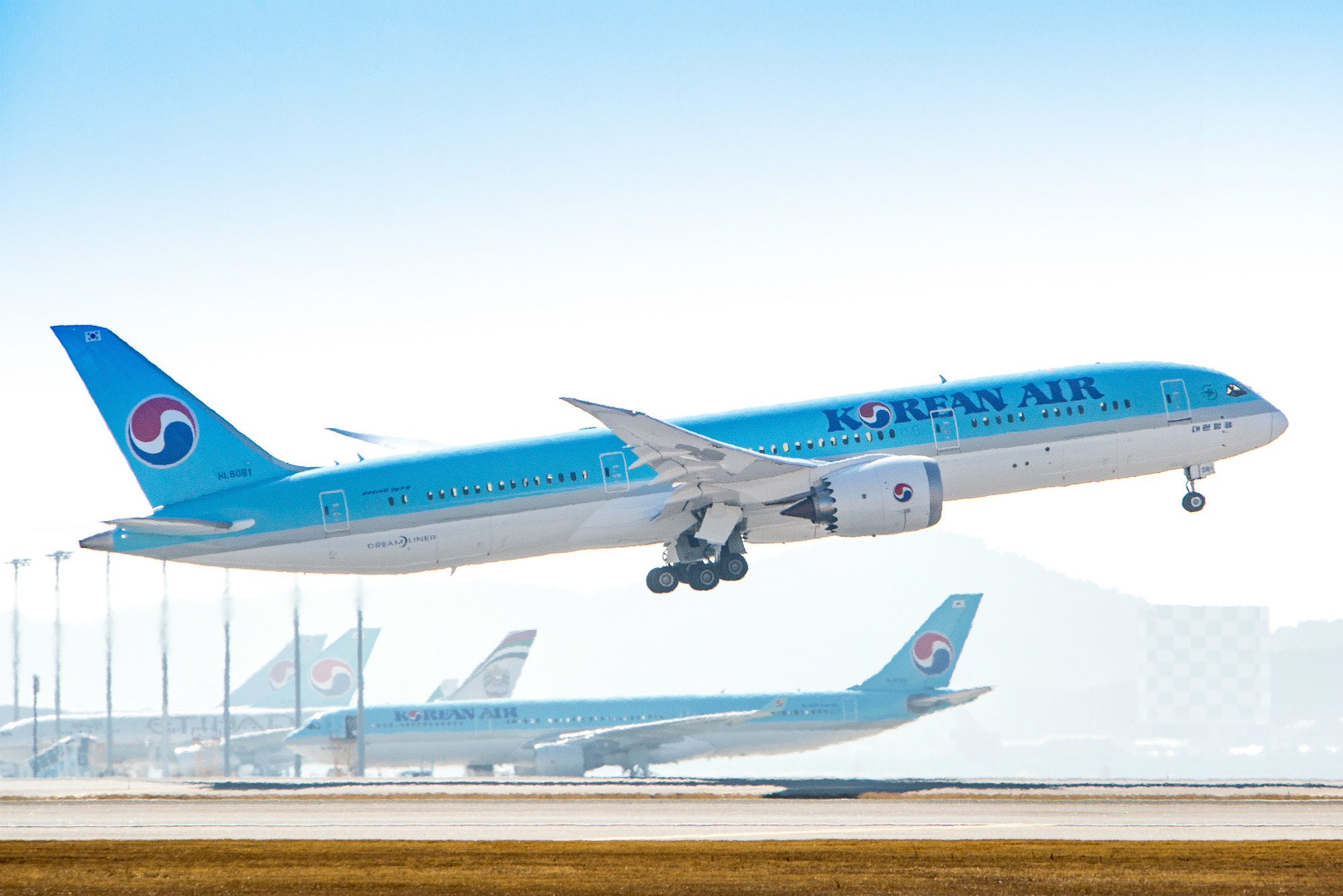 Korean Air in emergency, rewrites record sales last year