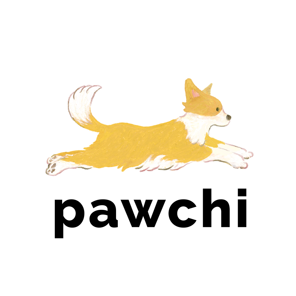 'Pet Insurance Company' Preparation Pouch Attracts 6 Billion Investment